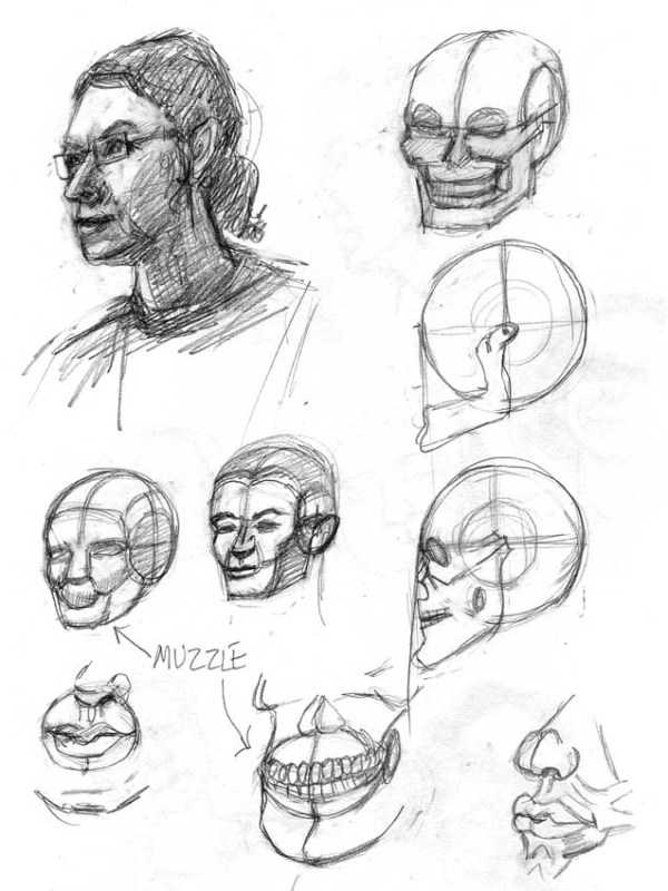 Learning to Draw Heads: Practice and Study with Skulls and Loomis ...