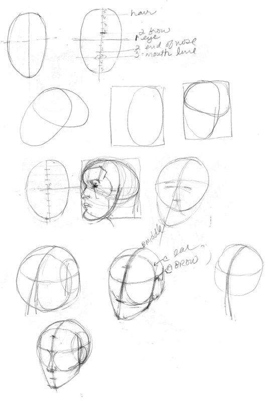 Learning to Draw Heads: Practice and Study with Skulls and Loomis ...